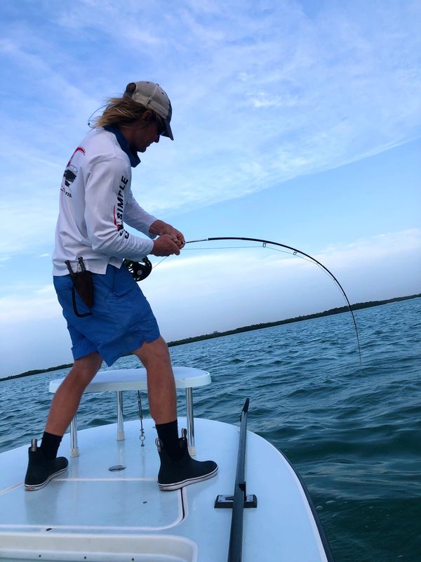 Best Fishing Charters - Purple Heron Charters