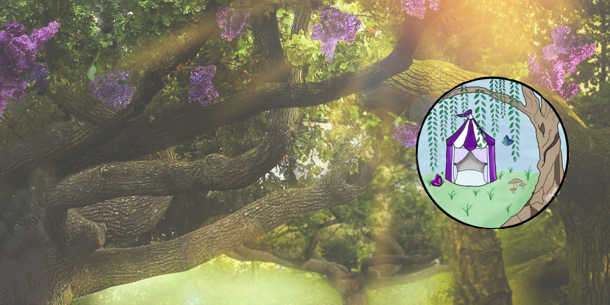 Circus Classes - Enchanted Circus Room