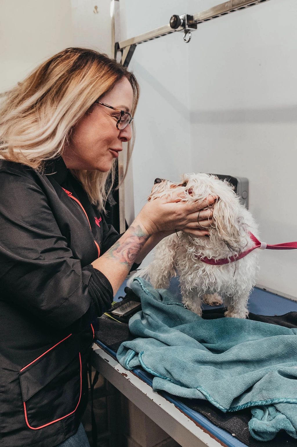 JW Pet Services Training and Tails of Long Sutton Dog & Cat Grooming Salon