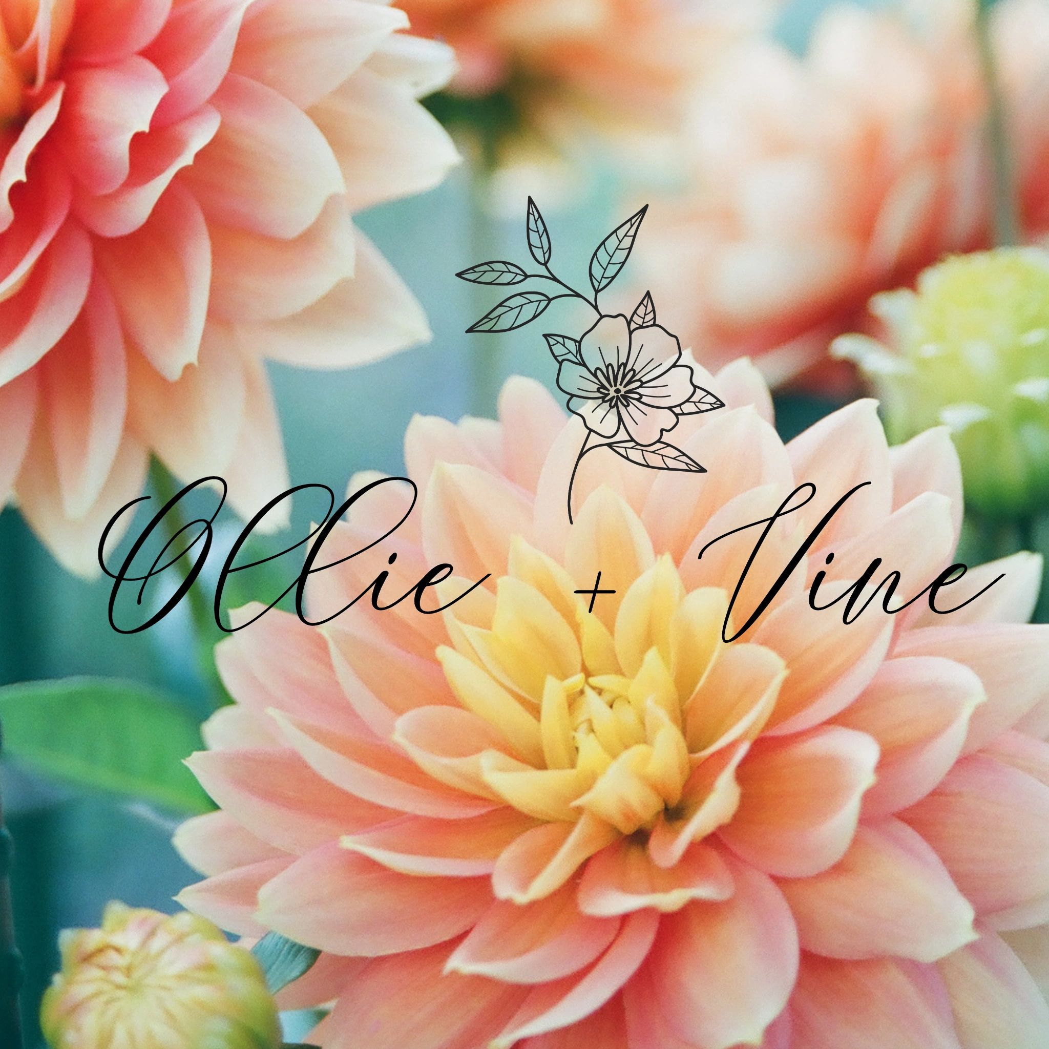 Full service flower shop