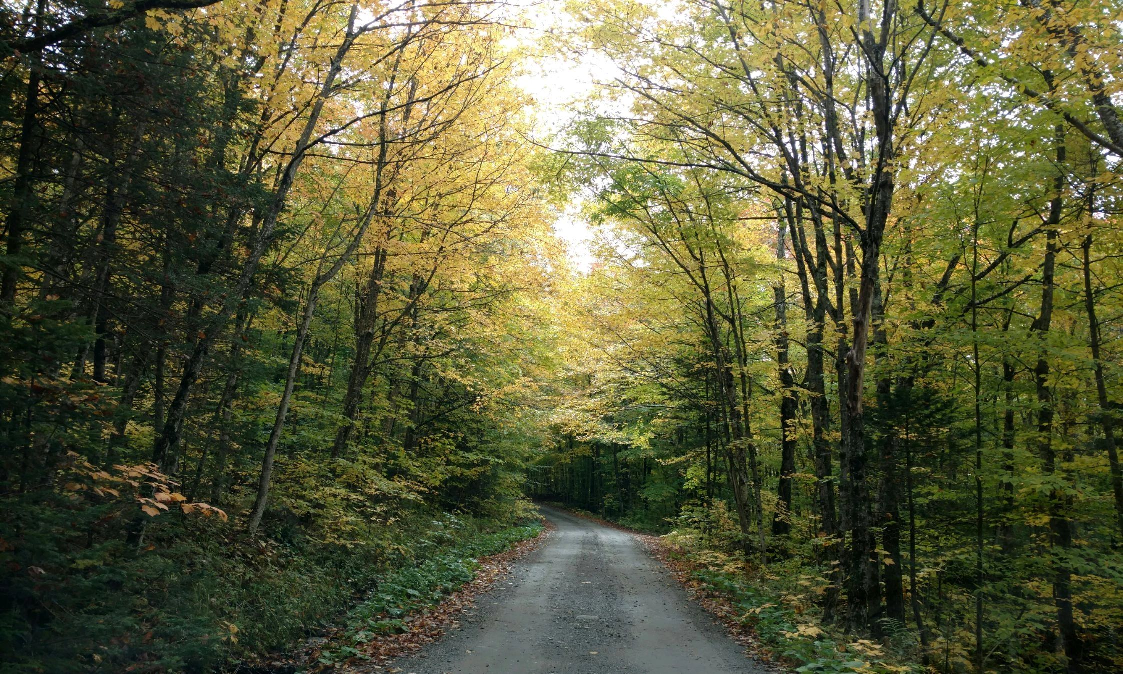 Backroads | Backroads