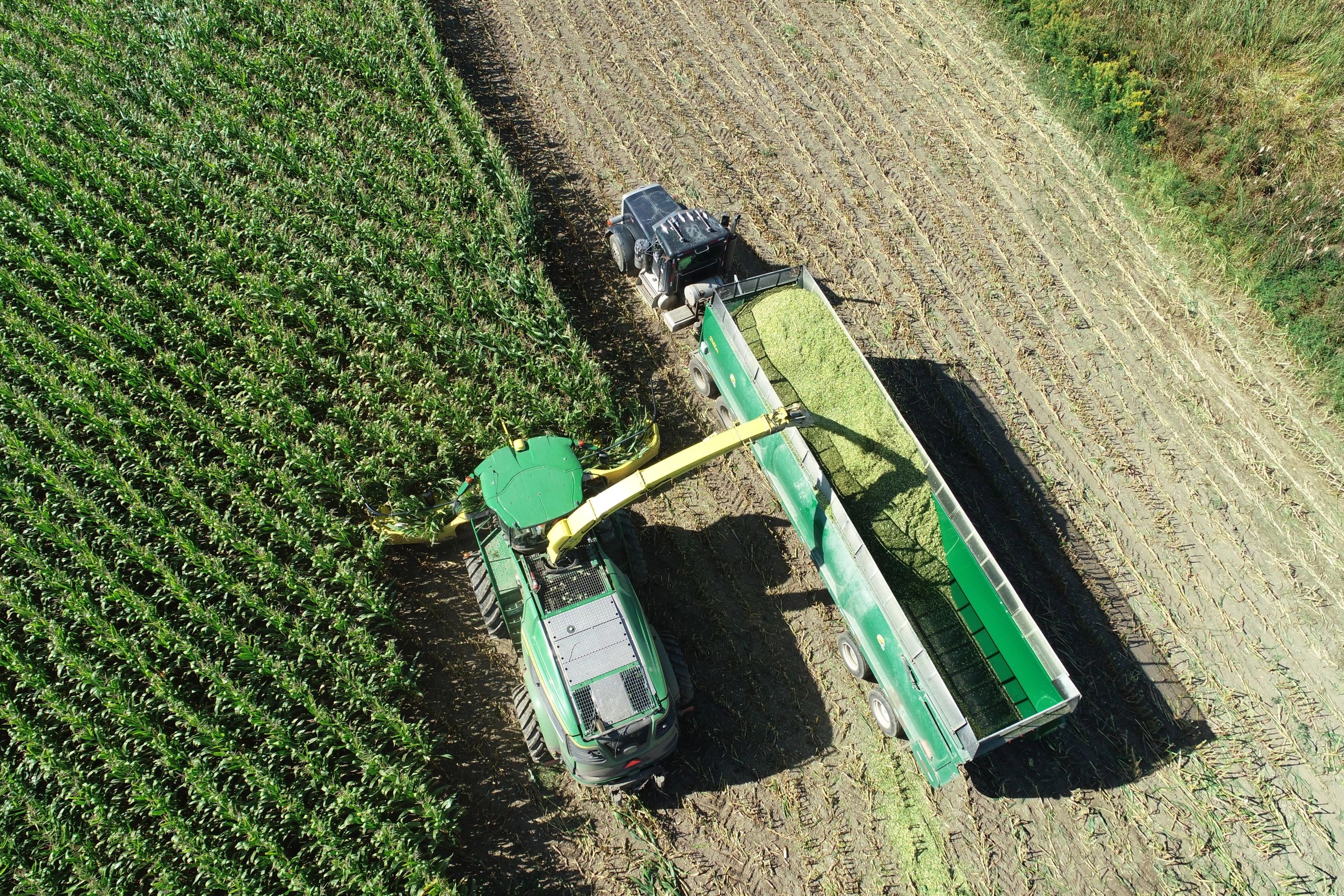 John Deere Corn Harvest