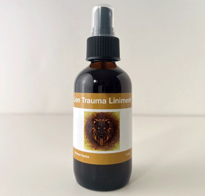 Lion Trauma Liniment - Dit Da Jow (External)