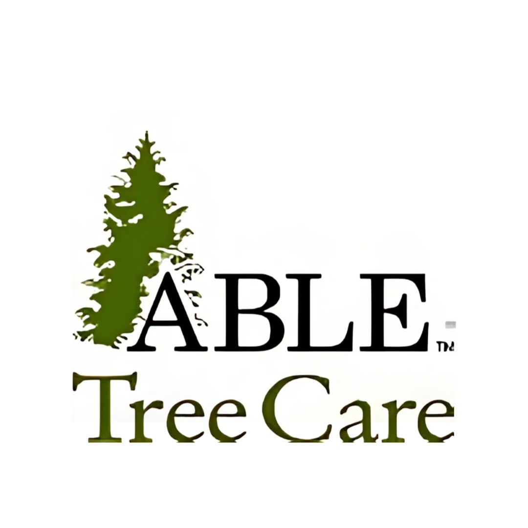 Professional Tree Care Services in Phoenix | Able Trees