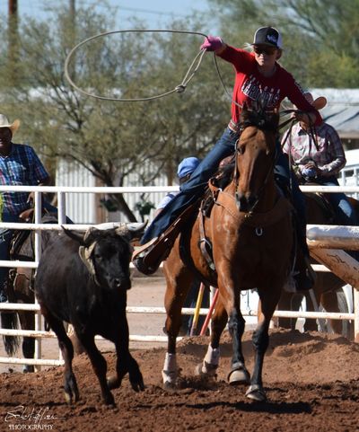 Membership | P&M ARENA