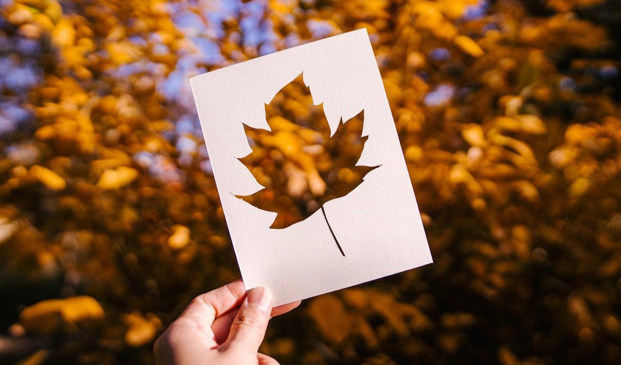 Seal Point Signs - Sunshine Coast, BC