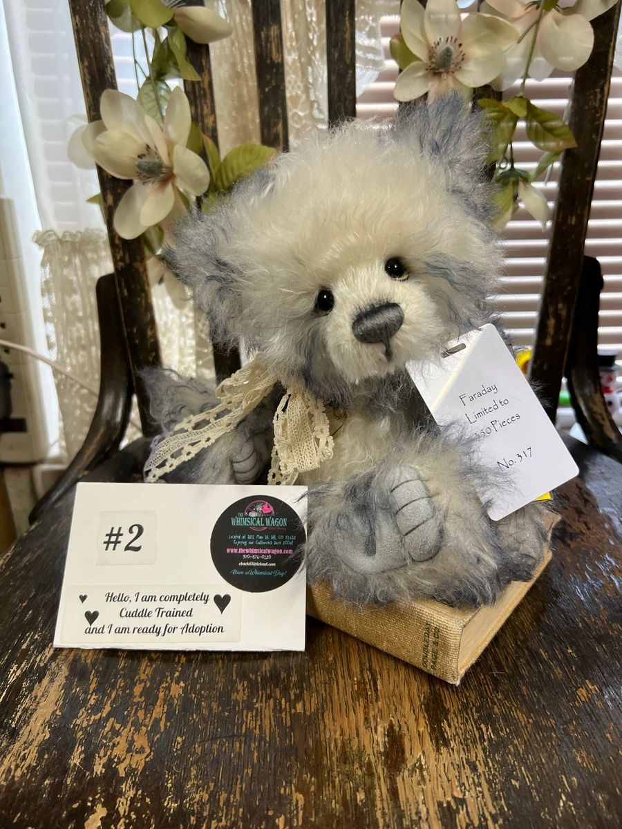 Charlie Bears Faraday