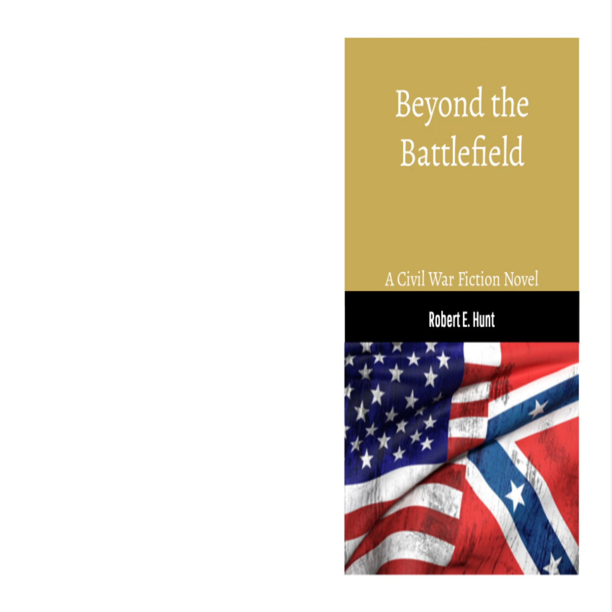 Beyond the Battlefield, A Civil War Novel