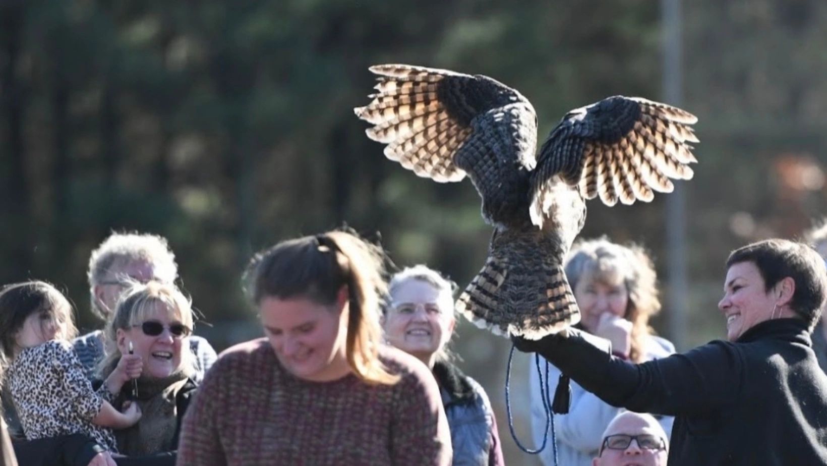 Raptor Education - Tailwinds: Raptor Education and Conservation