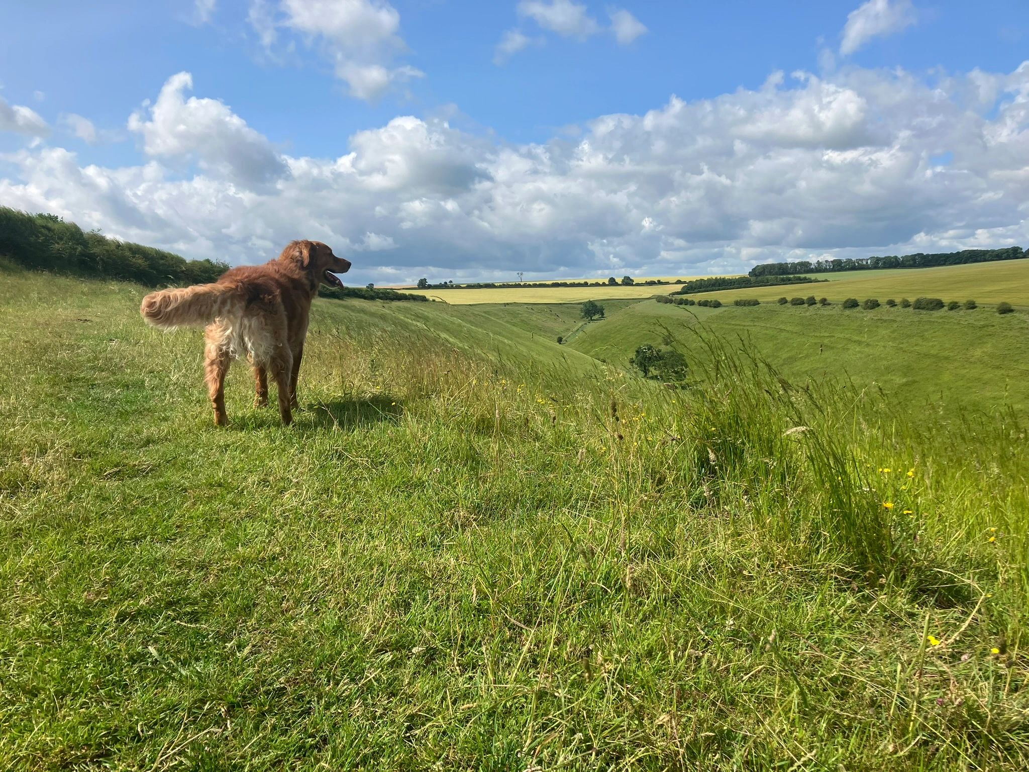 walkingthewolds.co.uk - Huggate, Walk, Secret Poetry Bench, Huggate