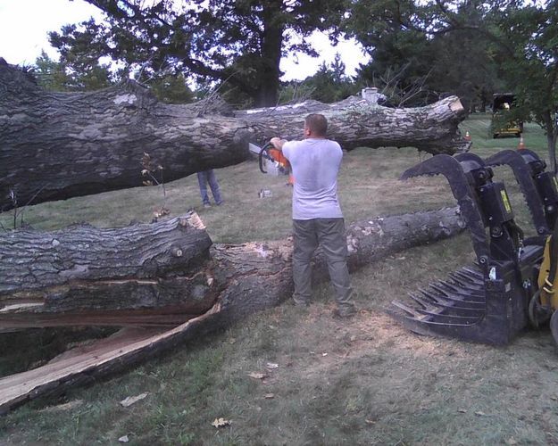 Rosci's Tree Service - Tree Removal, Lawn Mowing