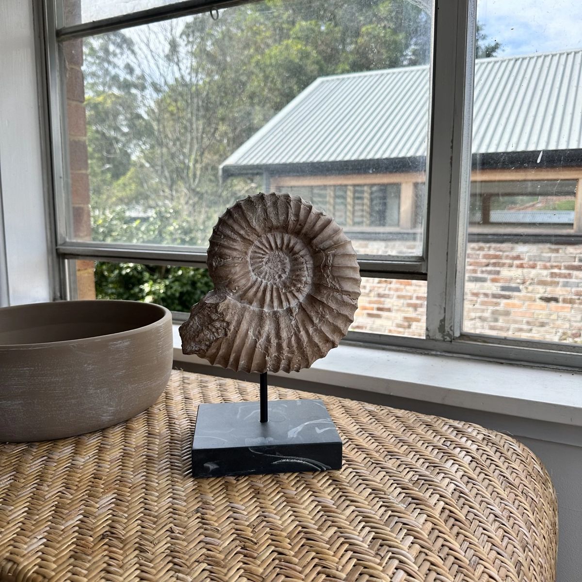 Manhattan Heavy Rustic Seashell Sculpture On Veined Marble Stand