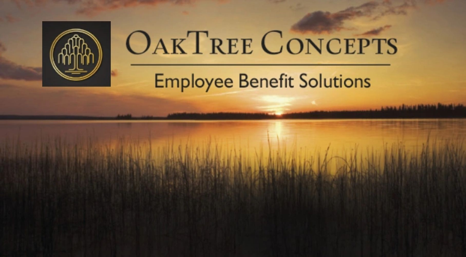 OakTree Concepts - Employee Benefits, Health Insurance, Healthcare