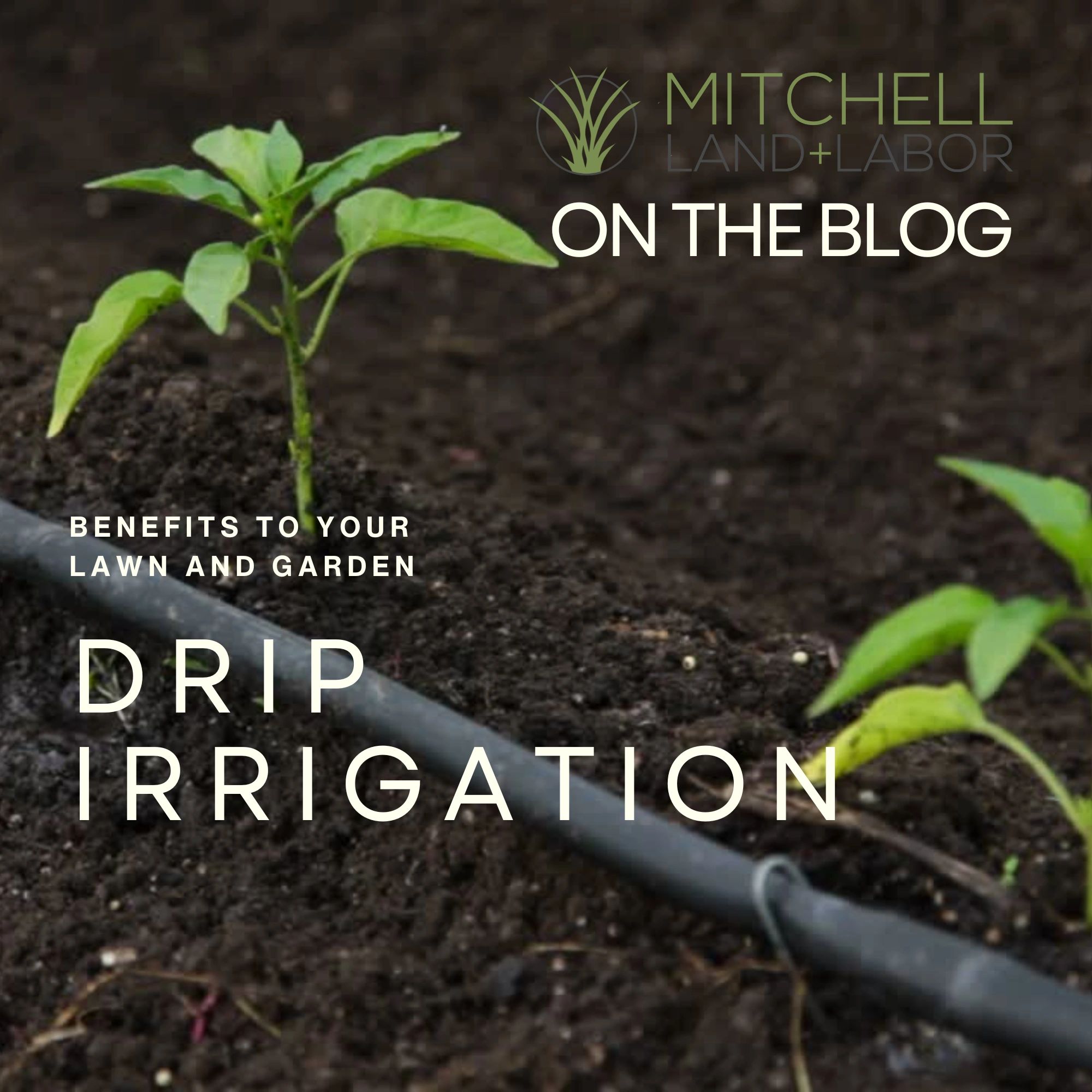 The Benefits of Drip Irrigation for Your Lawn and Garden
