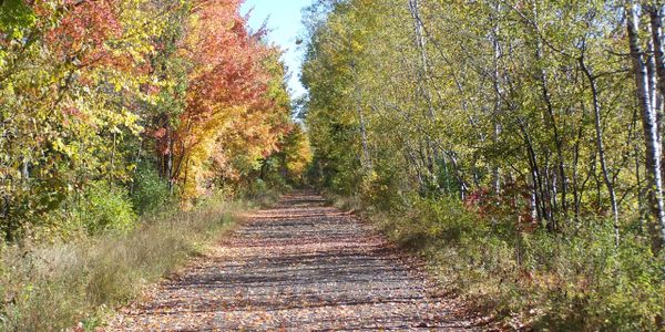 Friends of Tuscobia Trail - Tourism Welcoming, Outdoor Recreation