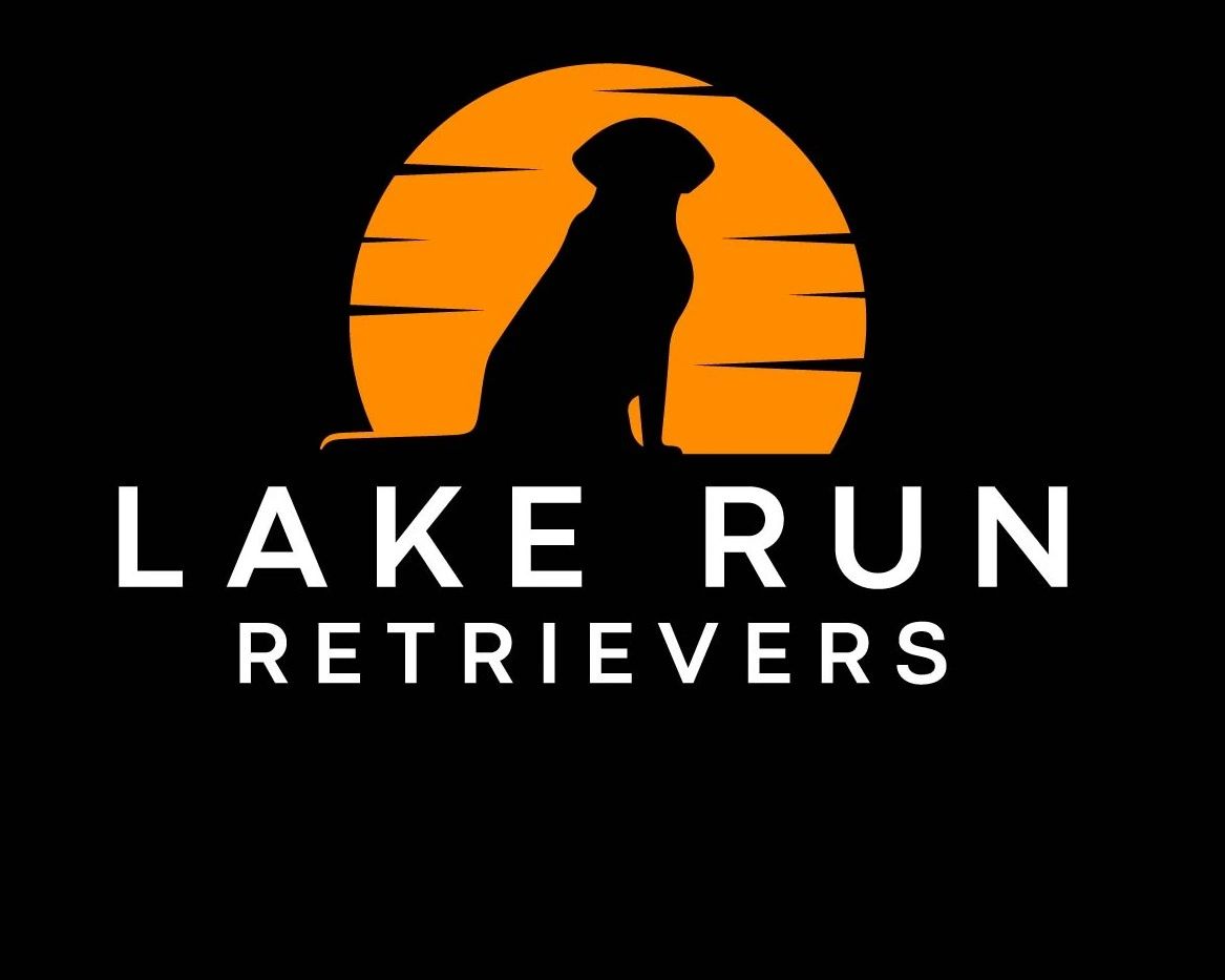 Lake Run Retrievers