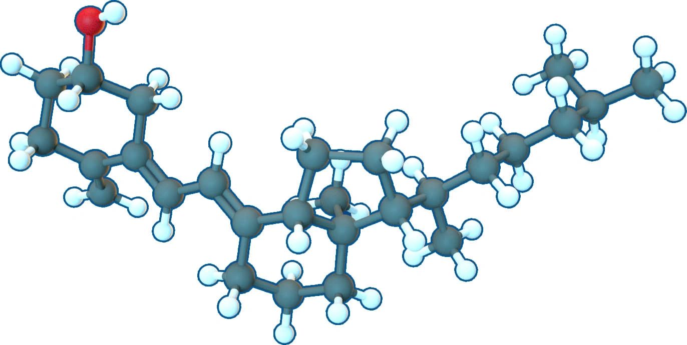 HOME [vitamindworkshop.org]