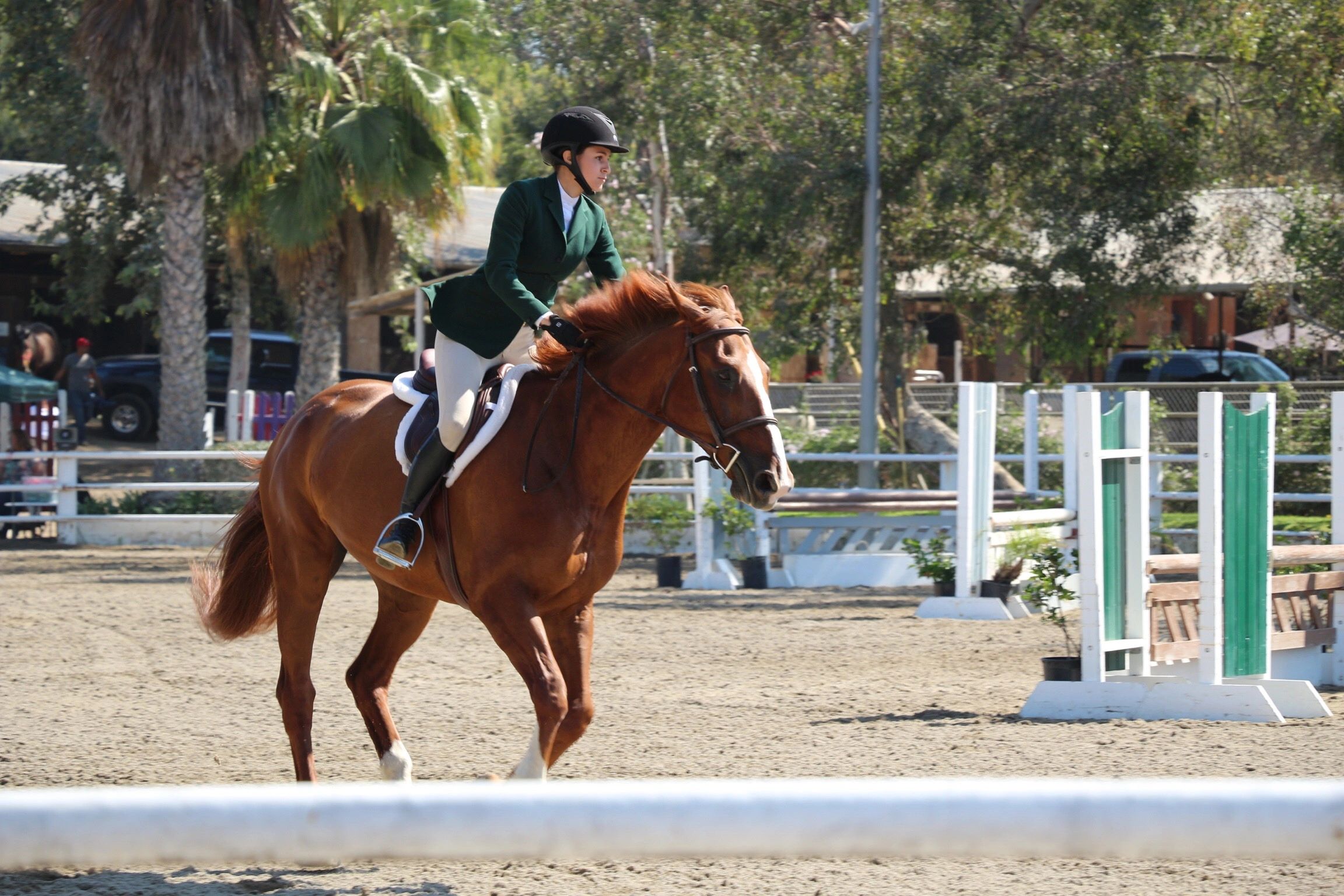 Horseback Riding Lessons - Arena Equestrian