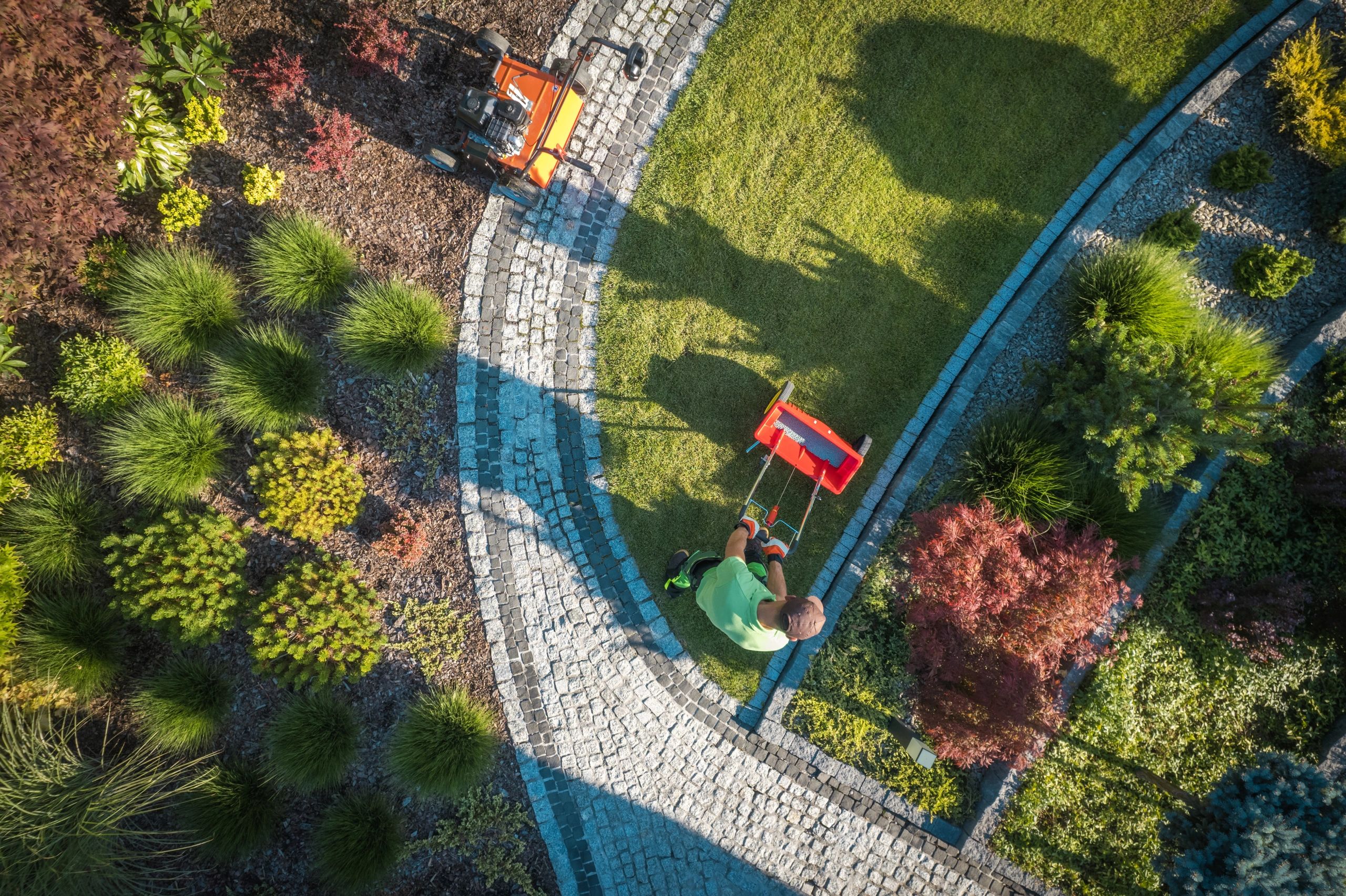 Expert Lawn Care and Landscaping Near Me