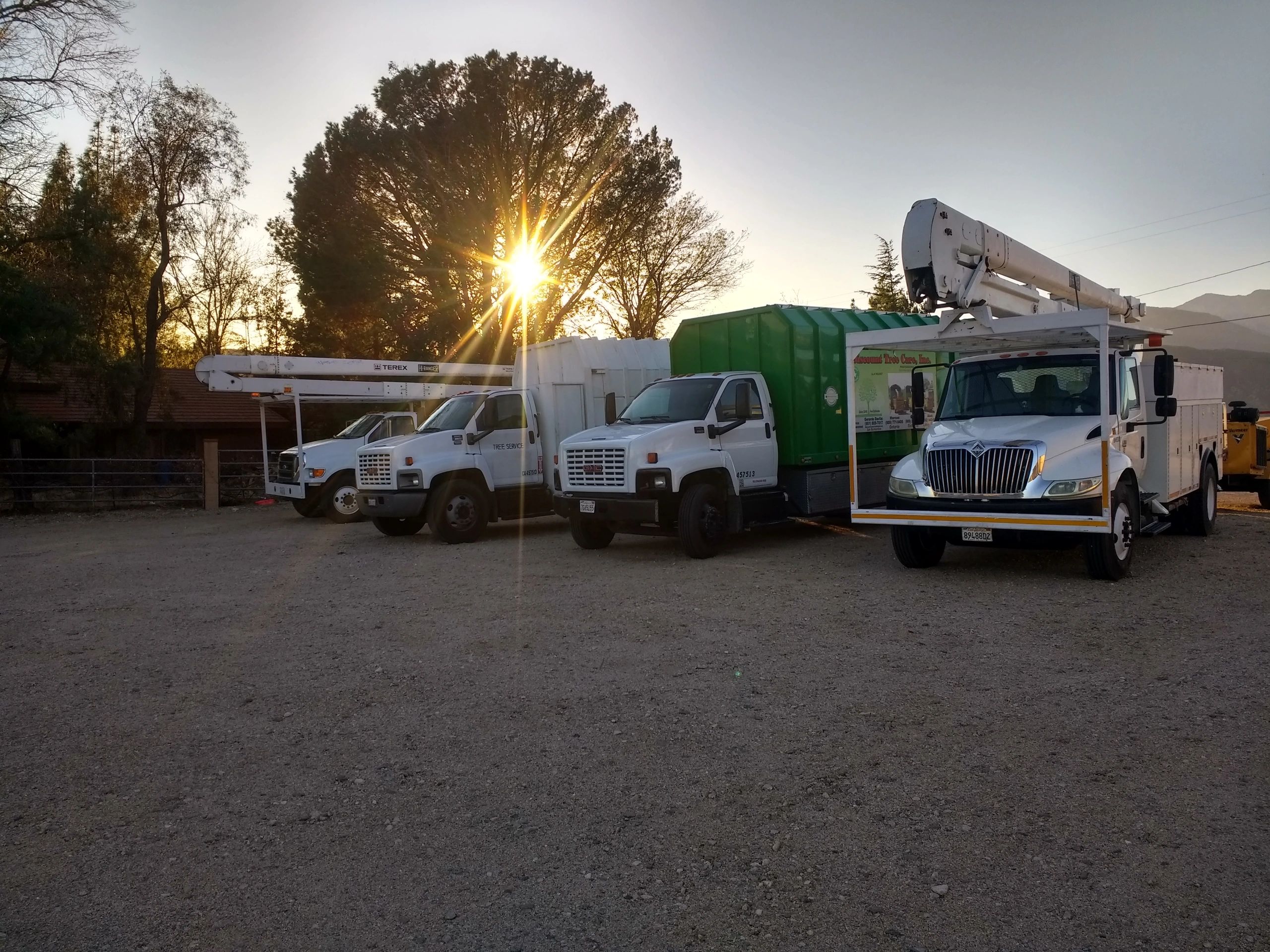 Discount Tree Care Inc