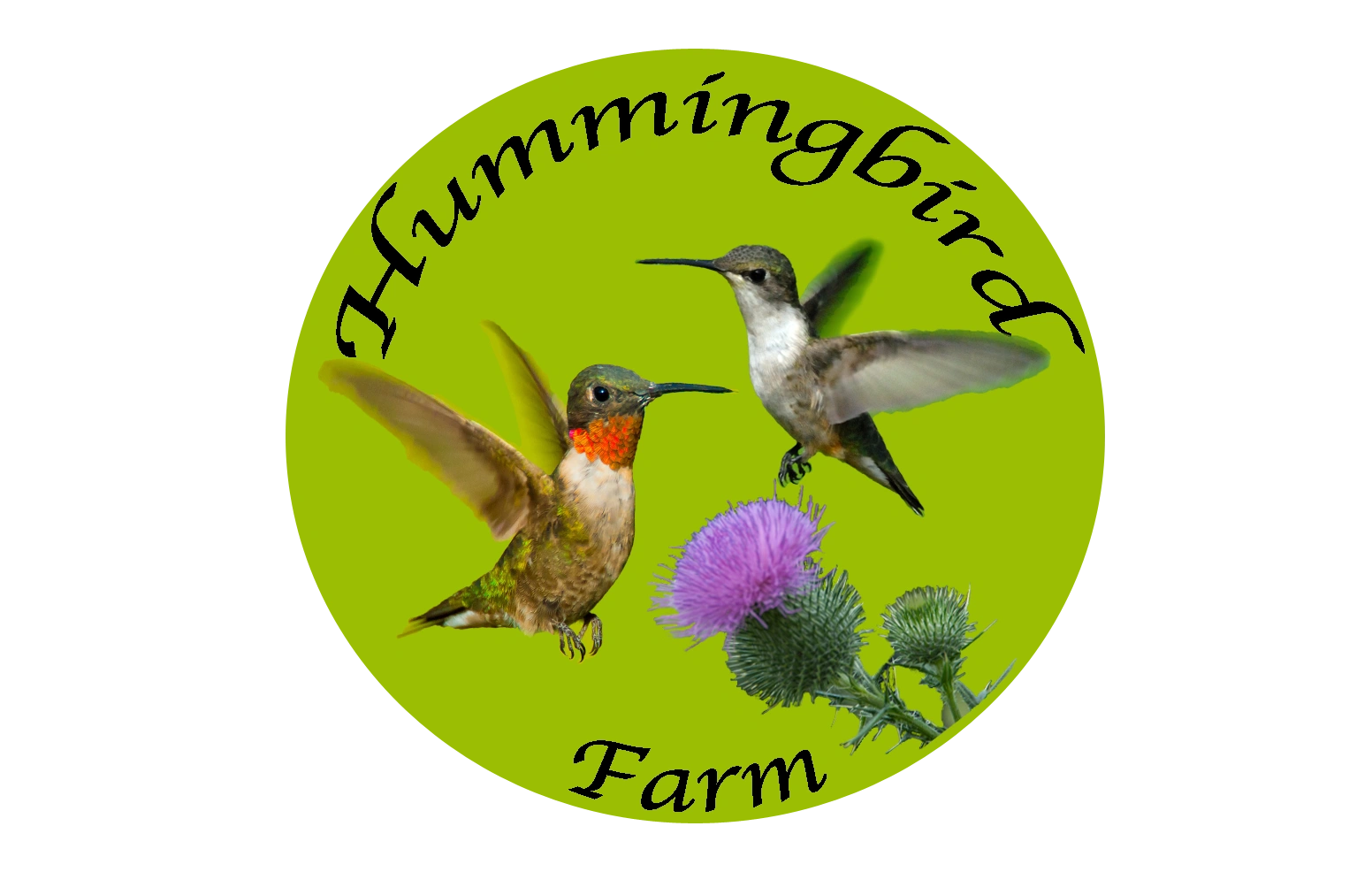 Hummingbird Farm