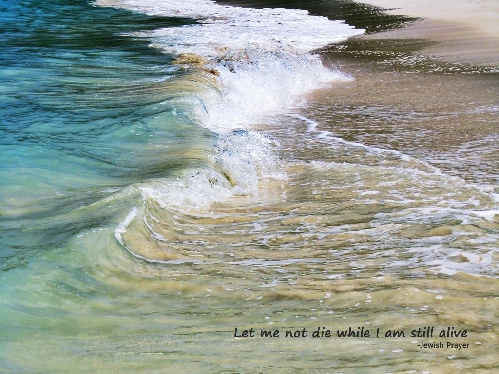 Phyllis Z Levy MSW LCSW