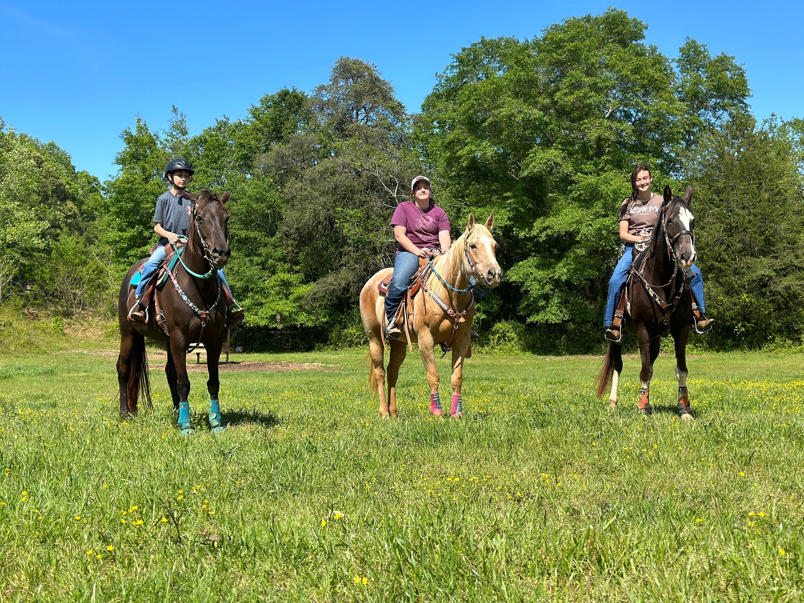 Freedom Valley Farms