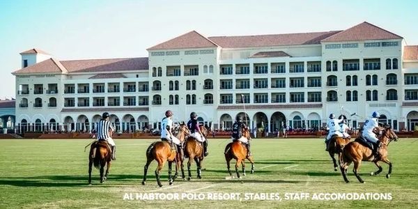 Home [diplomatgroup.me]