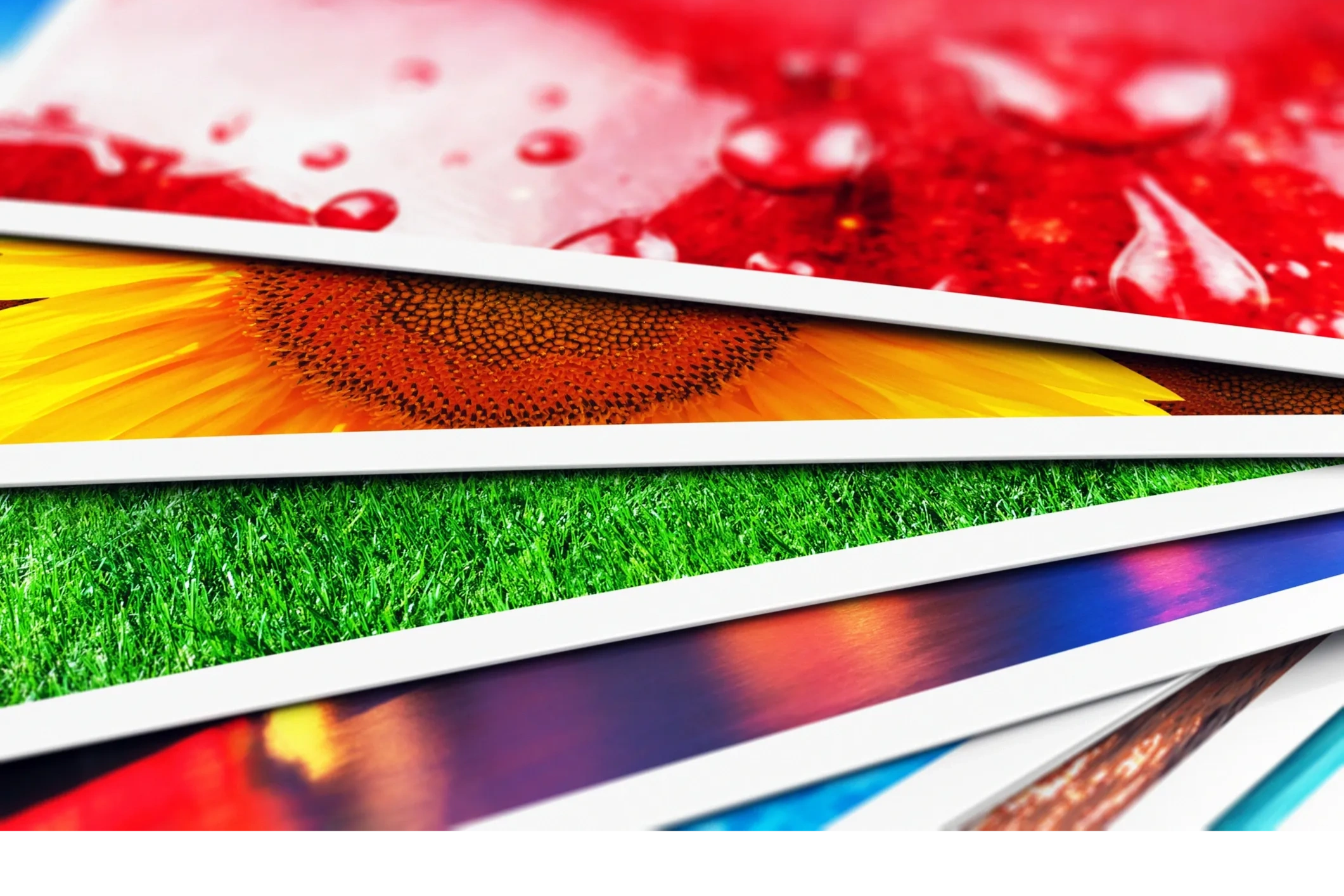 Custom Printing & Graphic Design Services