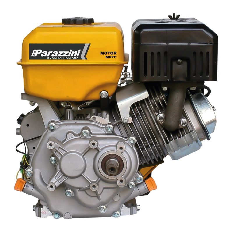 Parazzini Motor 7hp con reductor Parazzini Motor 7hp con reductor