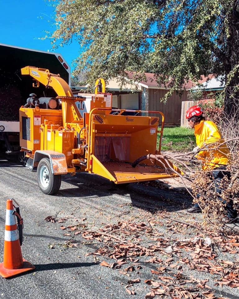 Tree Trimming - Dream Outdoor Services