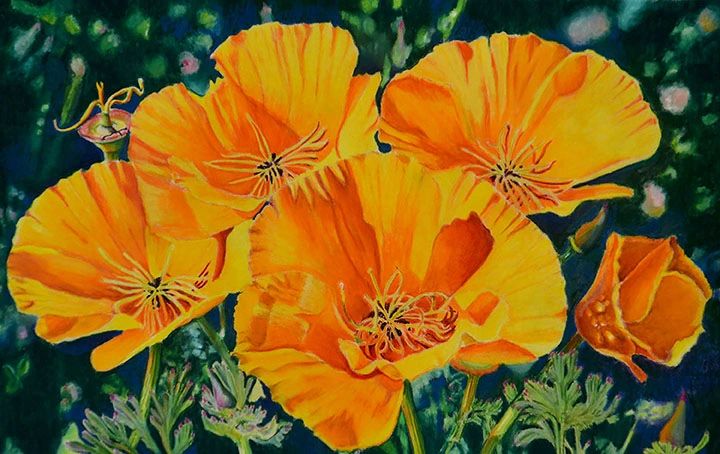 Amber Pierson Fine Art