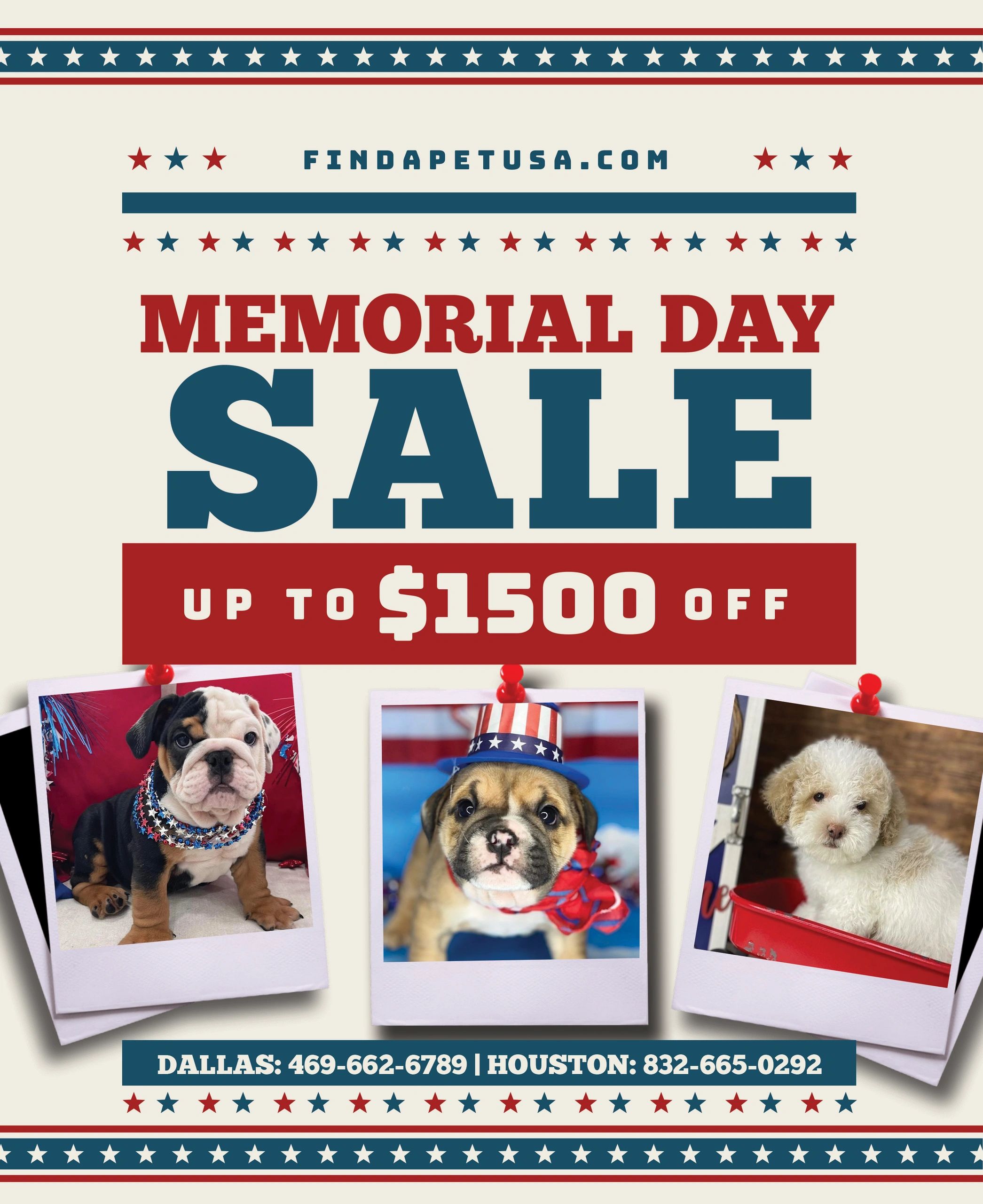 Pets-R-Us - Puppies for Sale, Puppies, Puppy