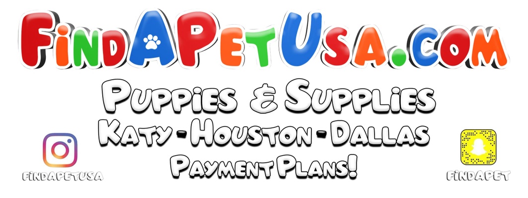 Pets-R-Us - Puppies for Sale, Puppies, Puppy