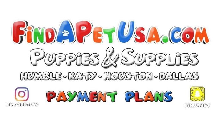 Pets-R-Us - Puppies for Sale, Puppies, Puppy