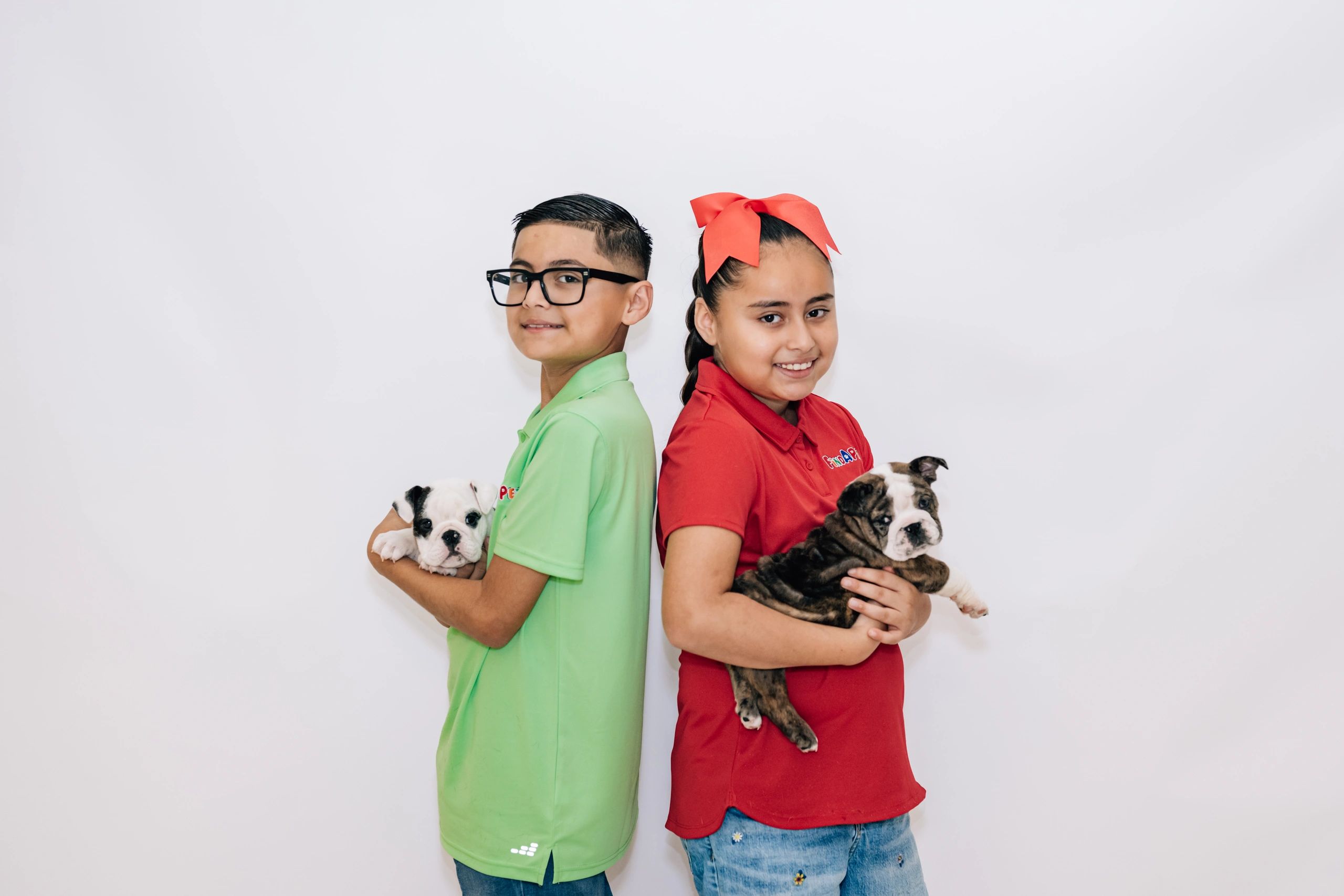 Pets-R-Us - Puppies for Sale, Puppies, Puppy