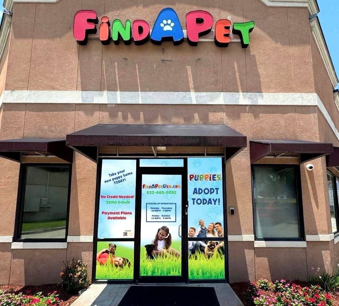 Pets-R-Us - Puppies for Sale, Puppies, Puppy