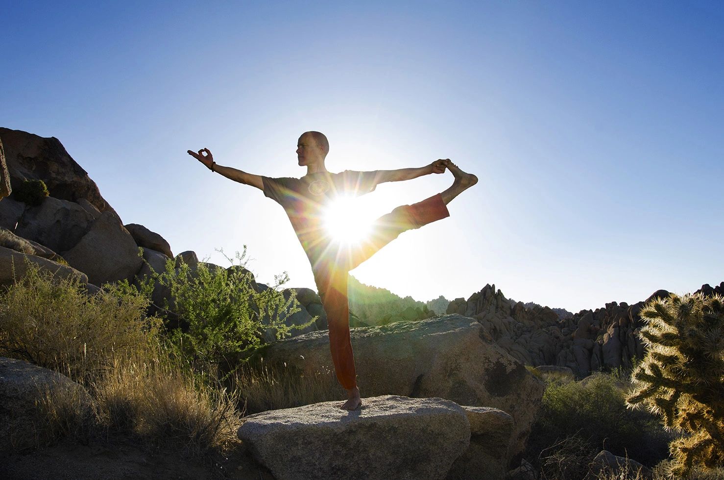 Balance Care Acupuncture & Herbs