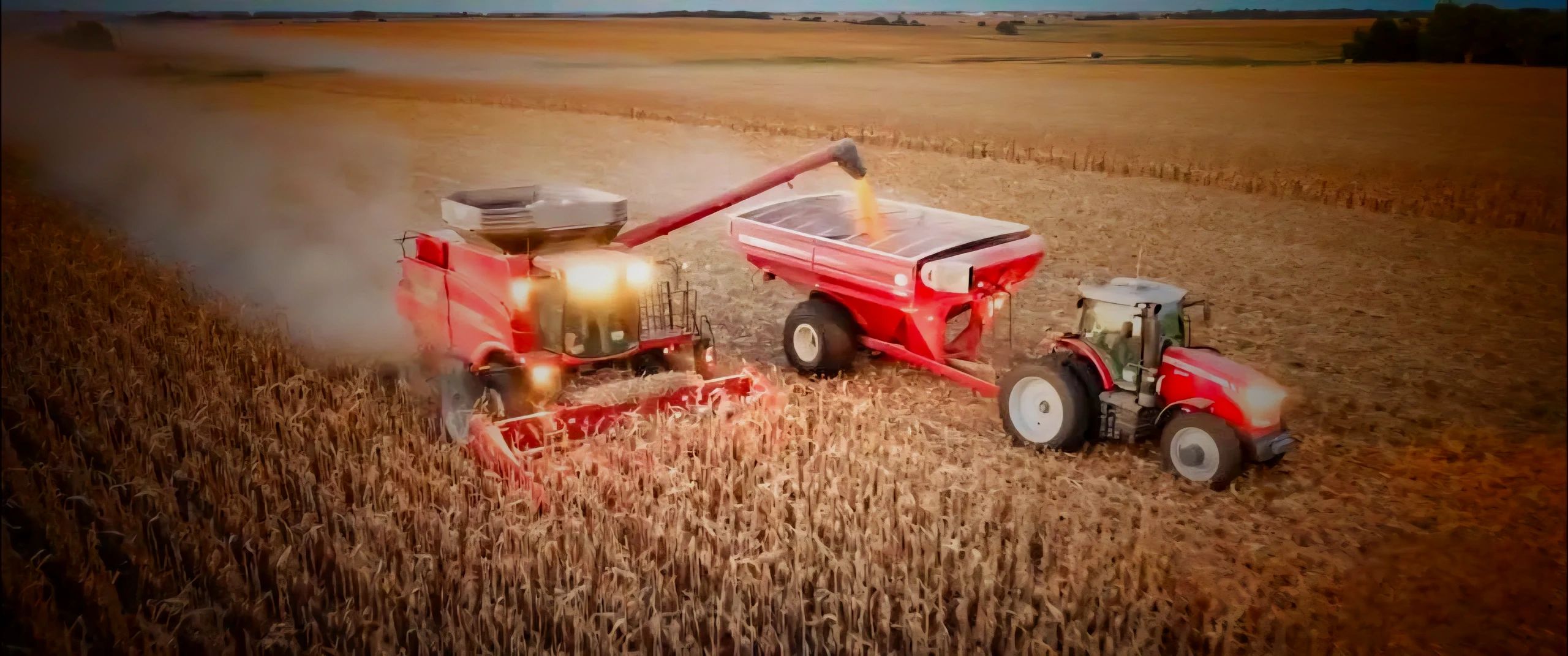 Grain Marketing Services by Jon Scheve