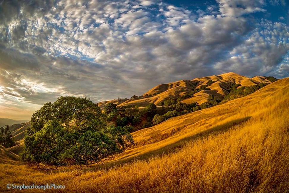 Stephen Joseph Photography - Fine Art Photography