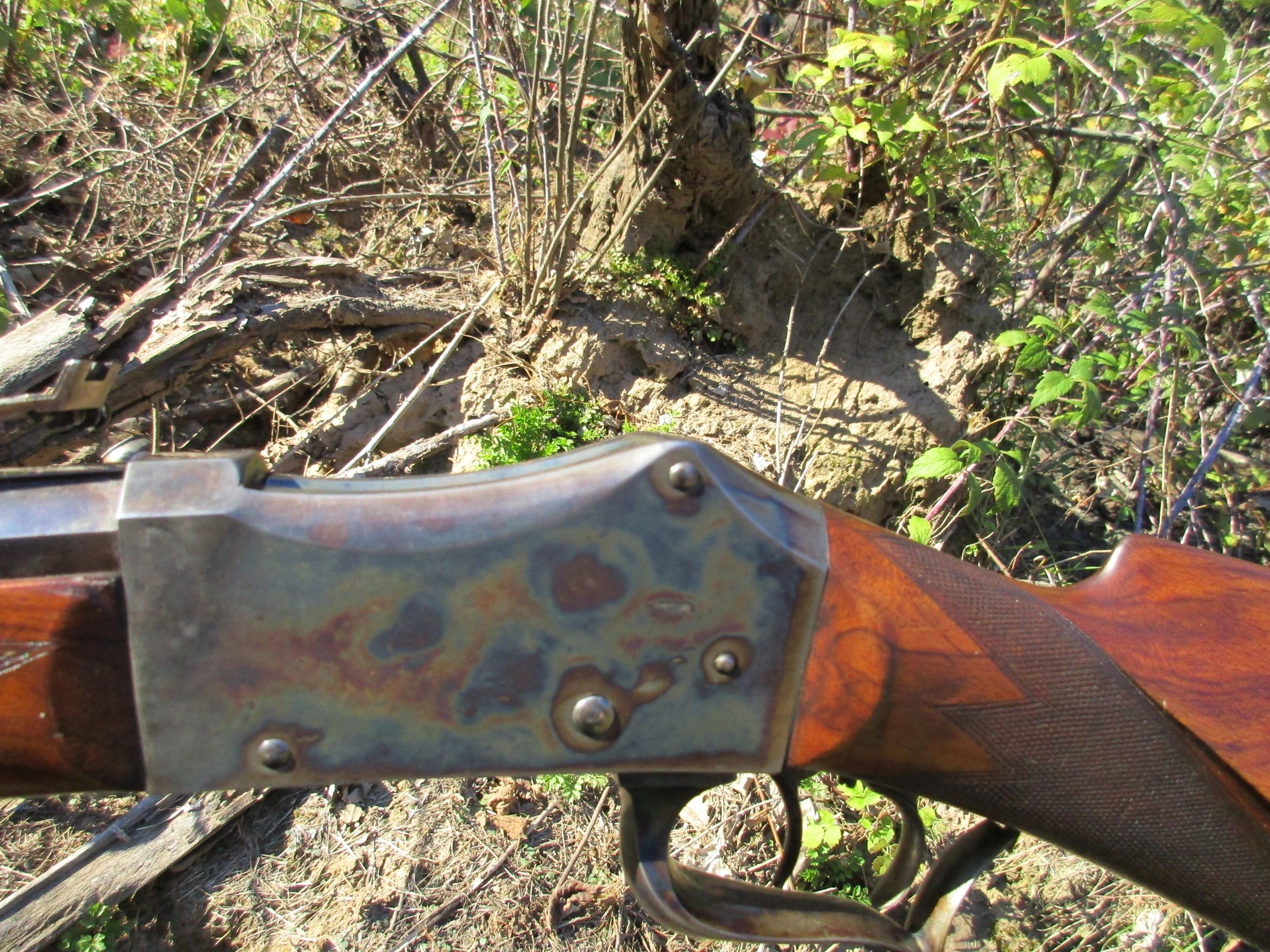 The color case on Swiss Martini Henry target rifle