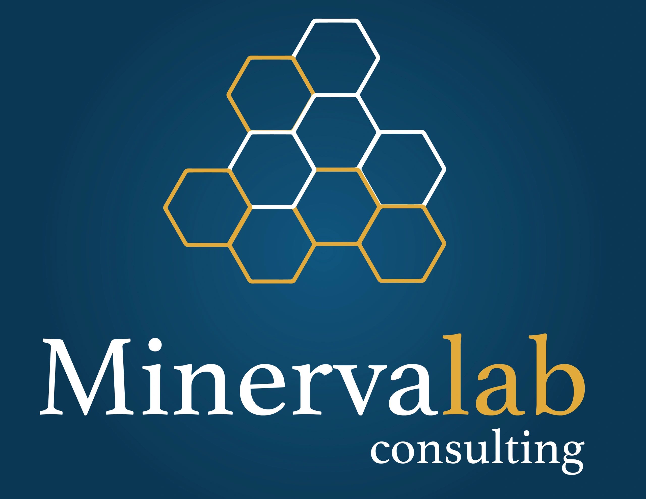 Nuestro equipo | Minerva Lab