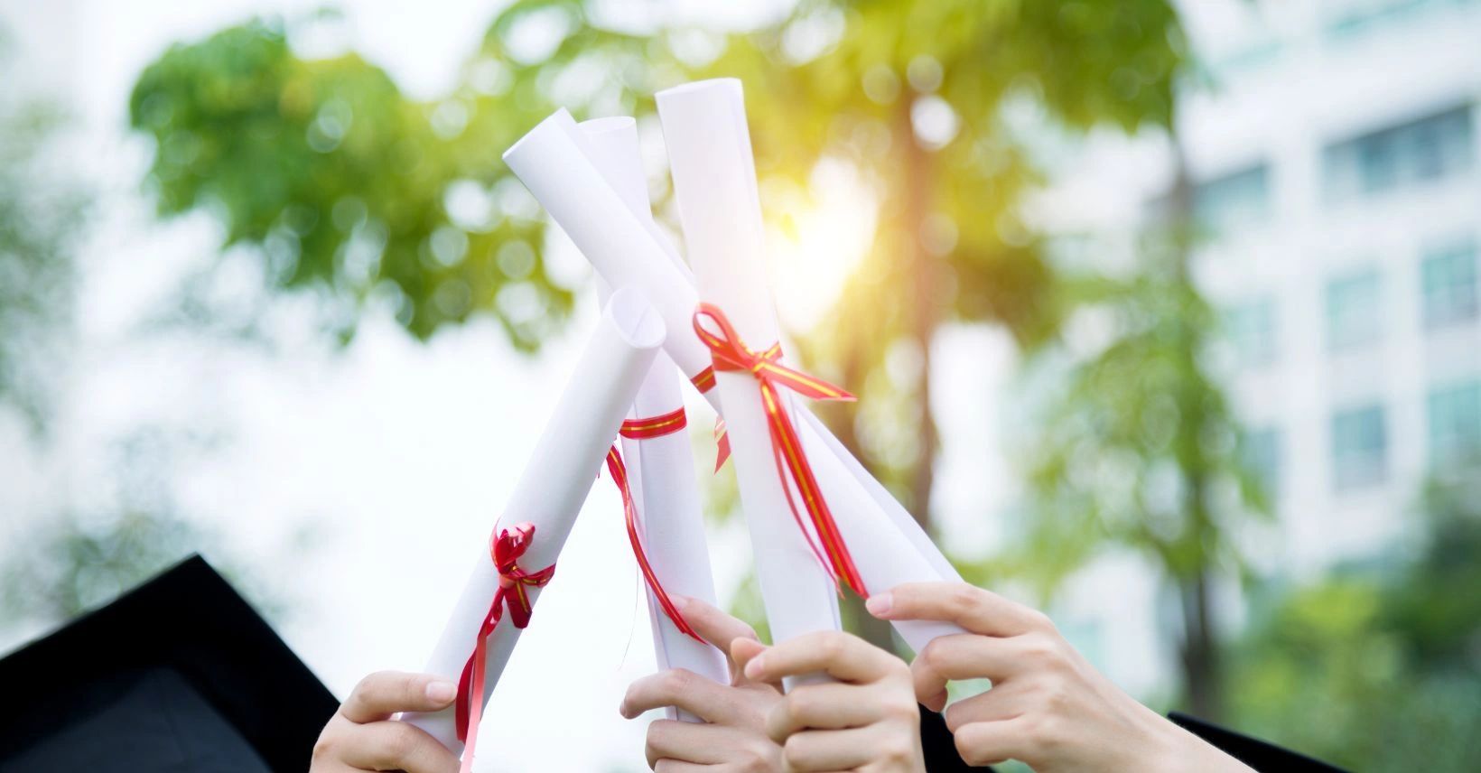 Grays Hall College Counseling - College Counseling, Apply for College ...