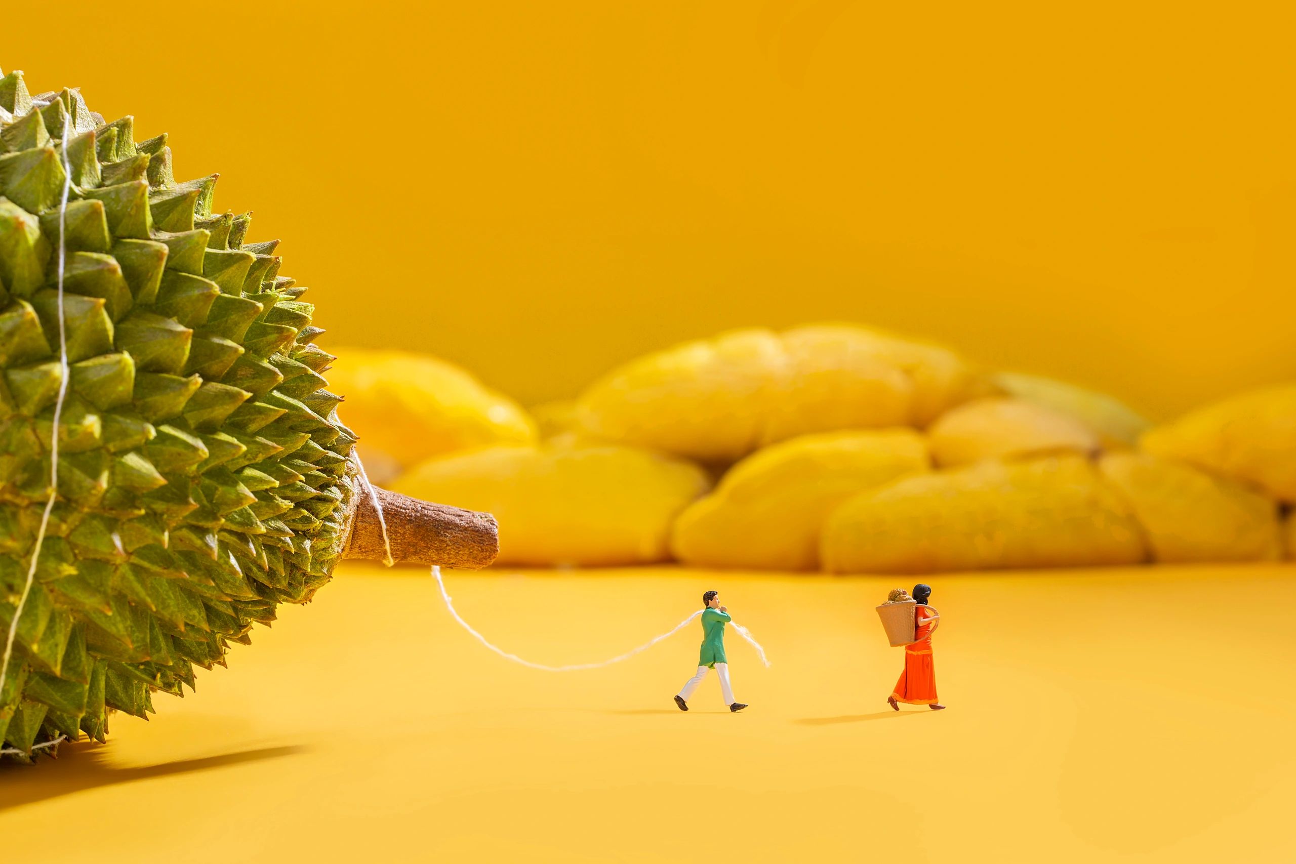 Durian Boat