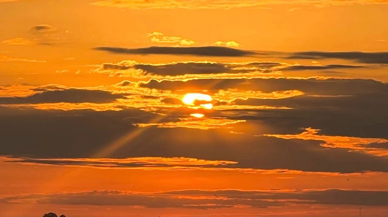 About | HoldFast NV Foundation