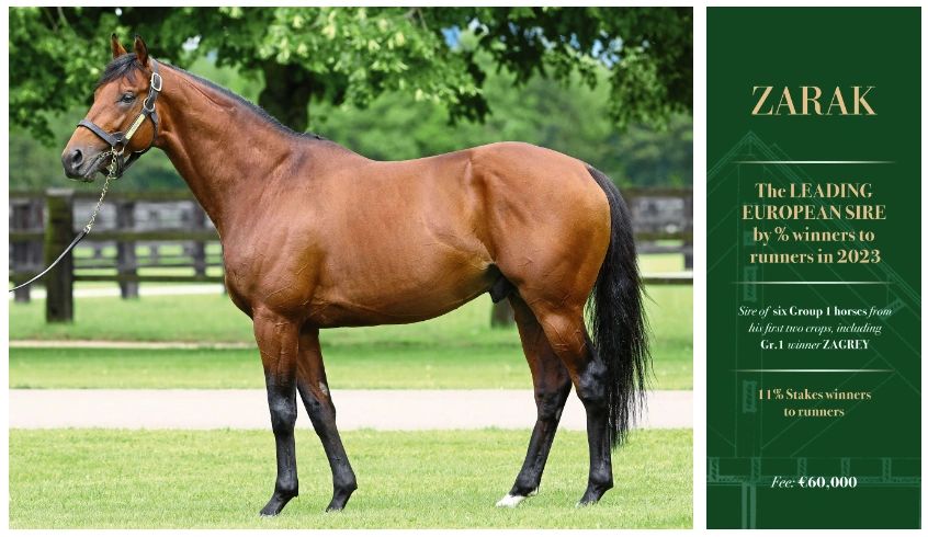 The Rise of Zarak: A Stallion's Journey to Prominence