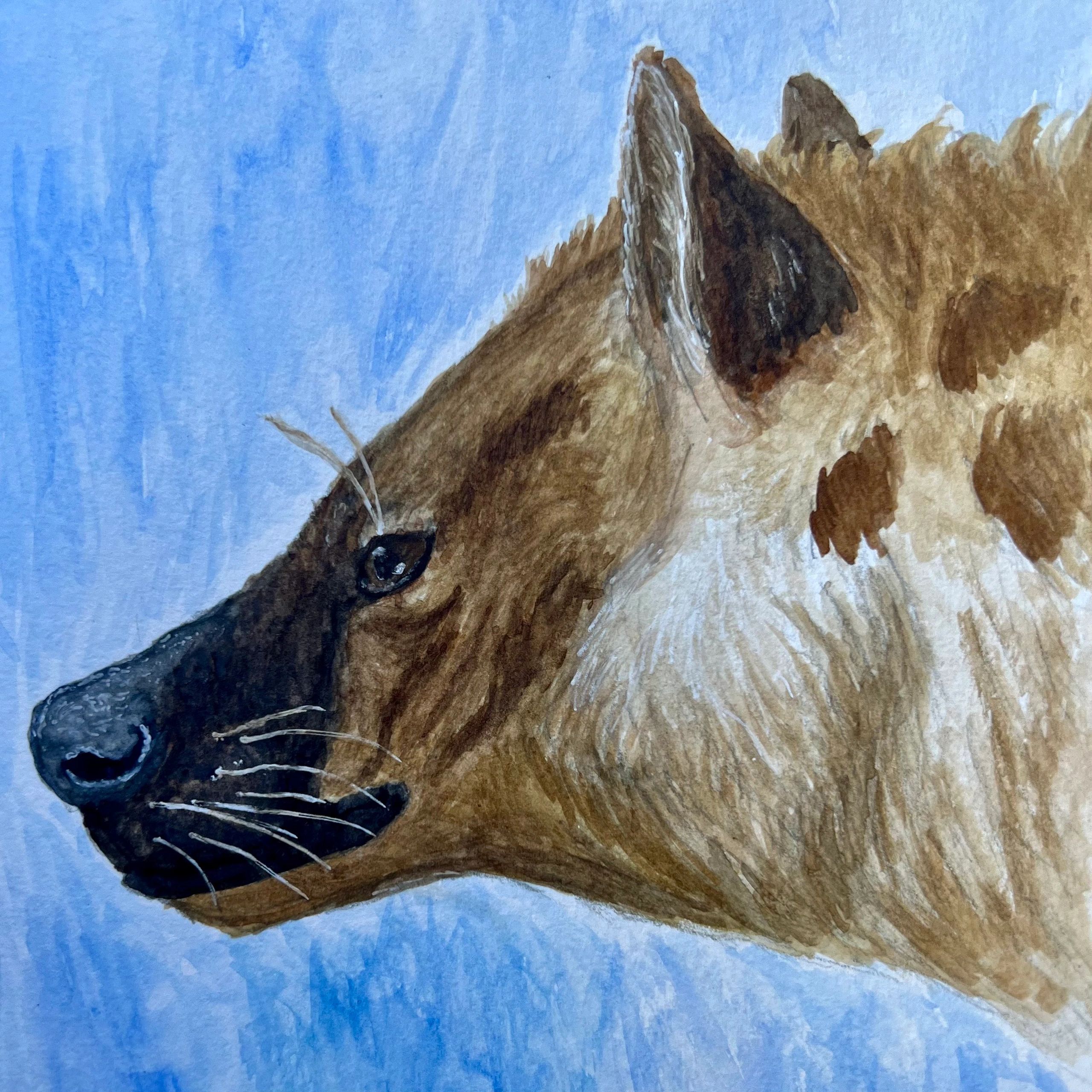 How To Draw A Cheetah profile 