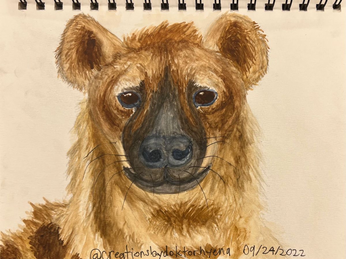 How to Paint a Hyena (Face)