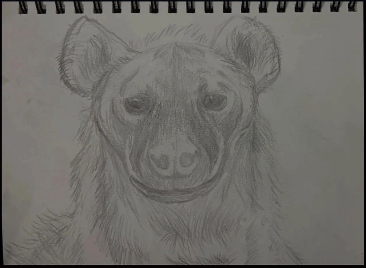 How to Draw a Hyena (Face)