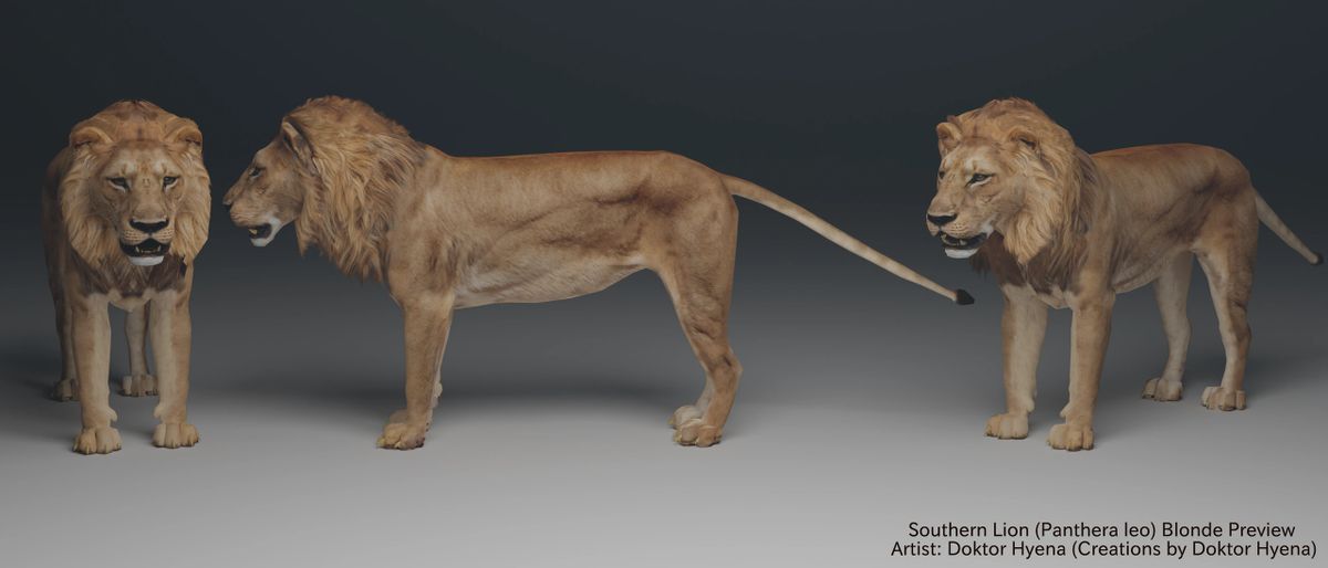 Lion and Lioness 3D Models